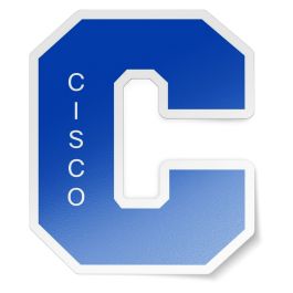 Team Cisco Sticker